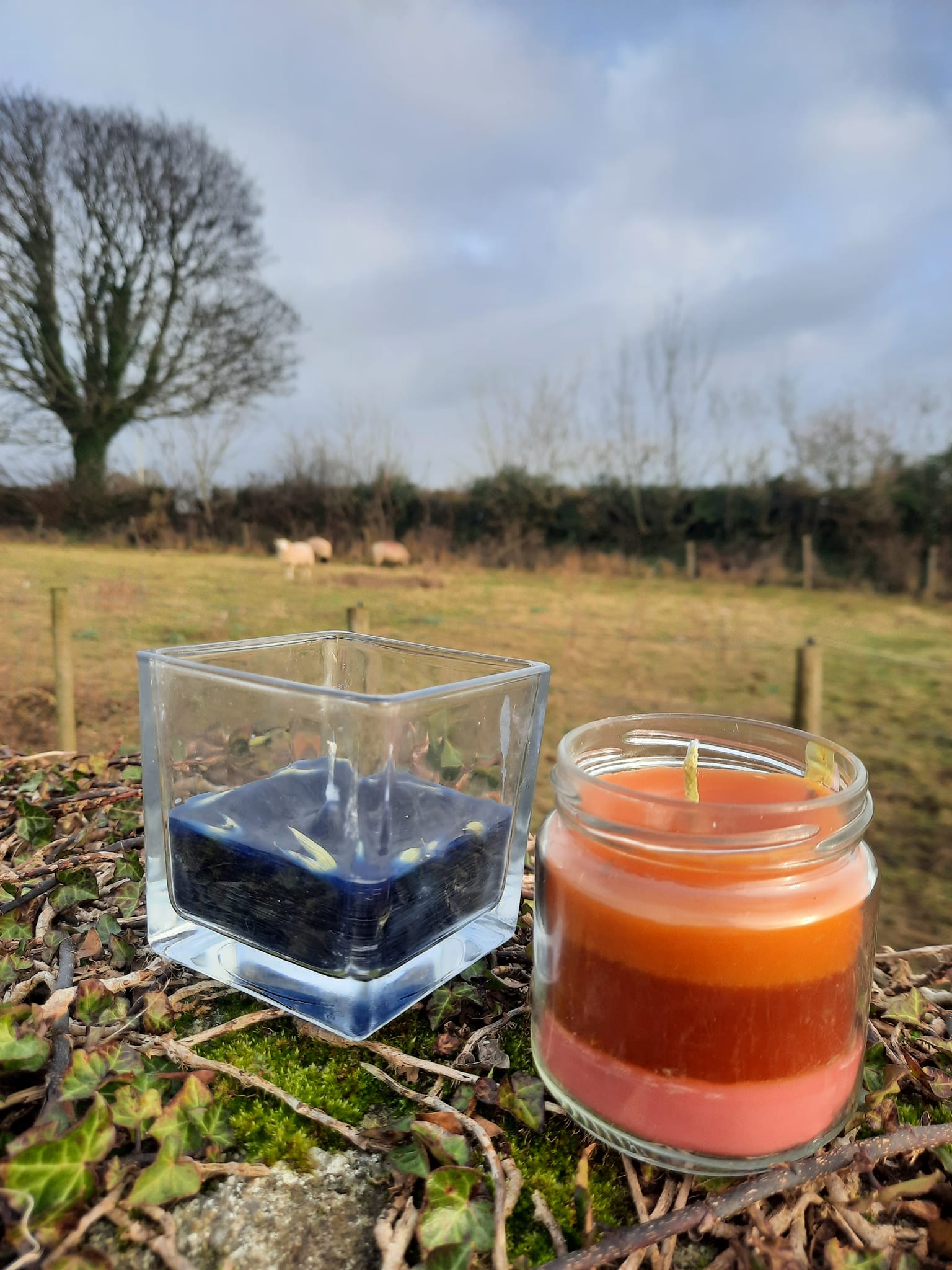 Mēnešu konkurss | Diasporas latviešu valodas un kultūras pamatskola